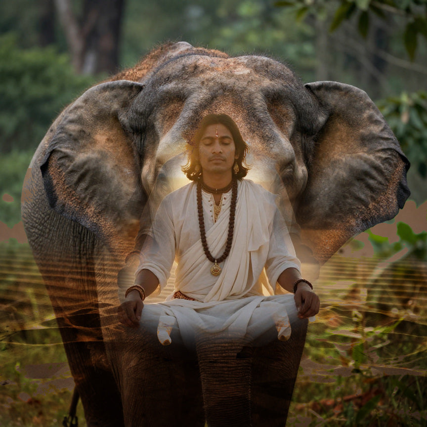 Celebrating the Festival of Ganesh: Three Engaging Ways to Honor A Bel ...