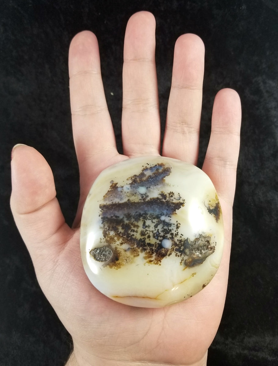 Ocean Agate – Cosmic Delights